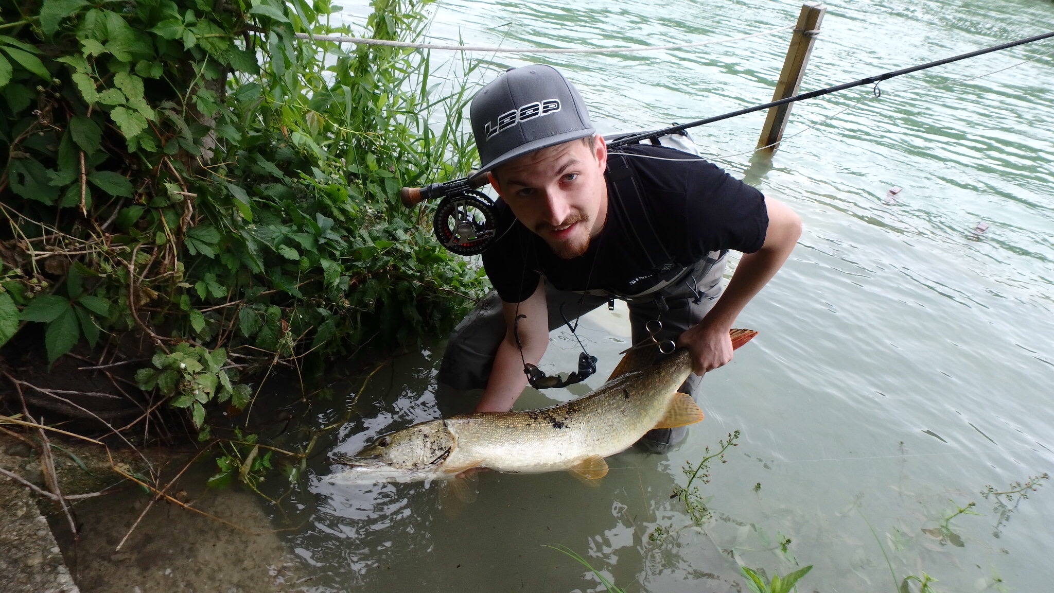 Was angeln im März? - Fischerhütte | hejfish.com